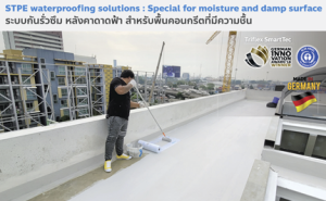 Mcwell X Triflex revolutionizes waterproofing with innovative PMMA and ...